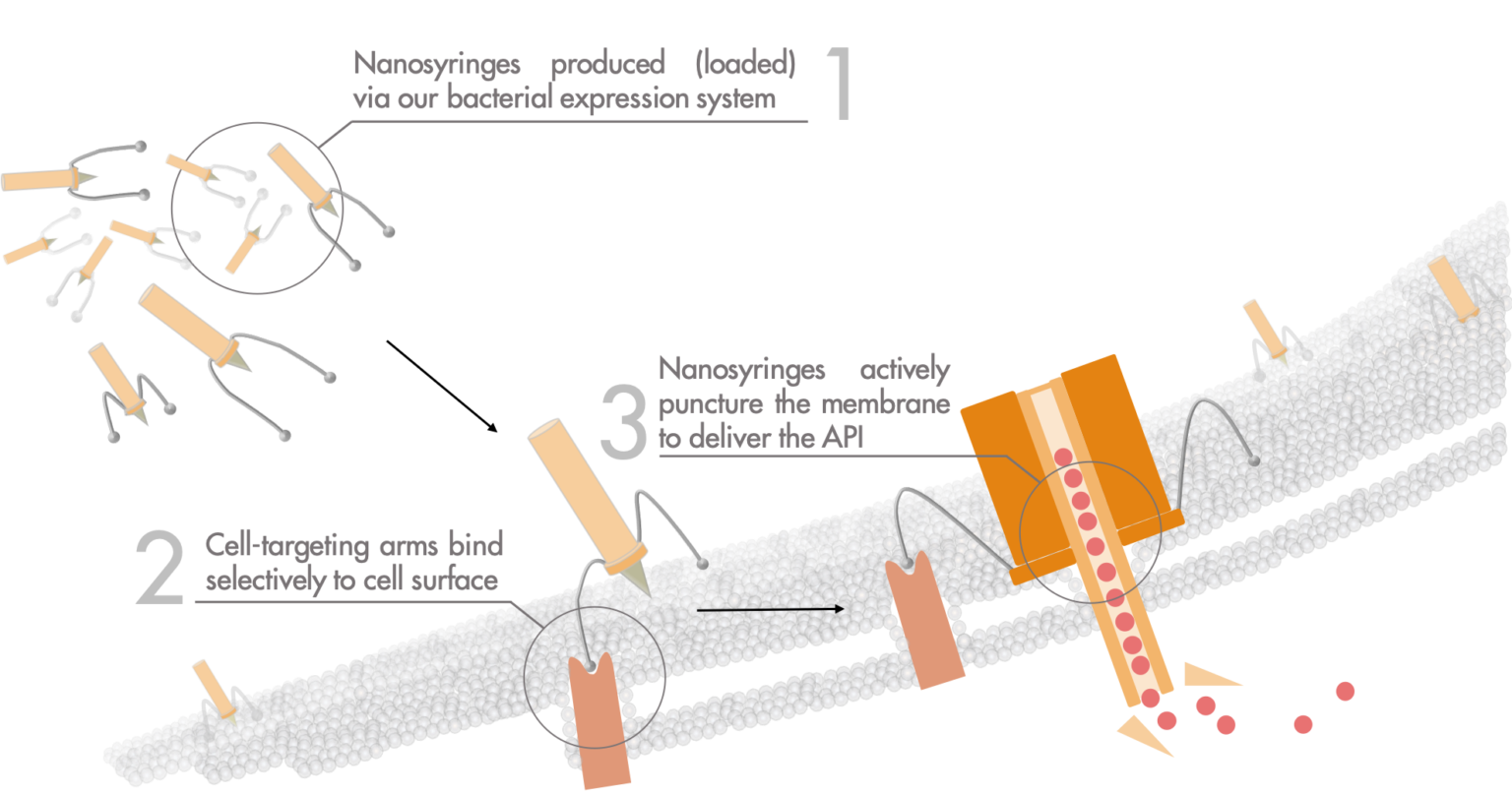 NanoSyrinx: Technology